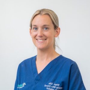 Meet the Team | Ashlands Vets